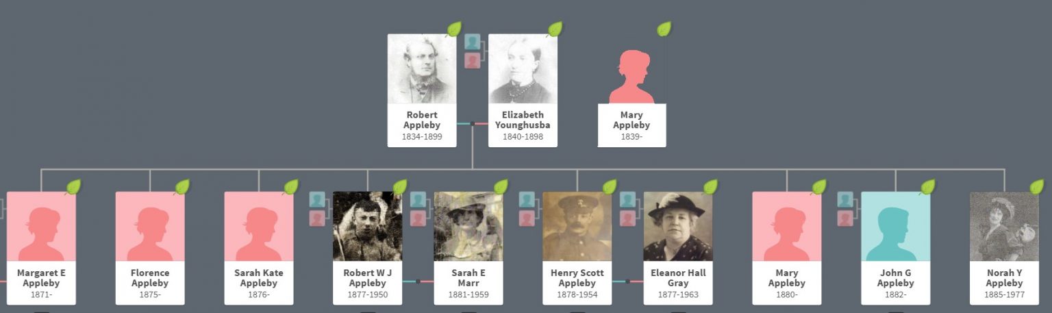 The Appleby’s – What’s In A Name? – Ransom History